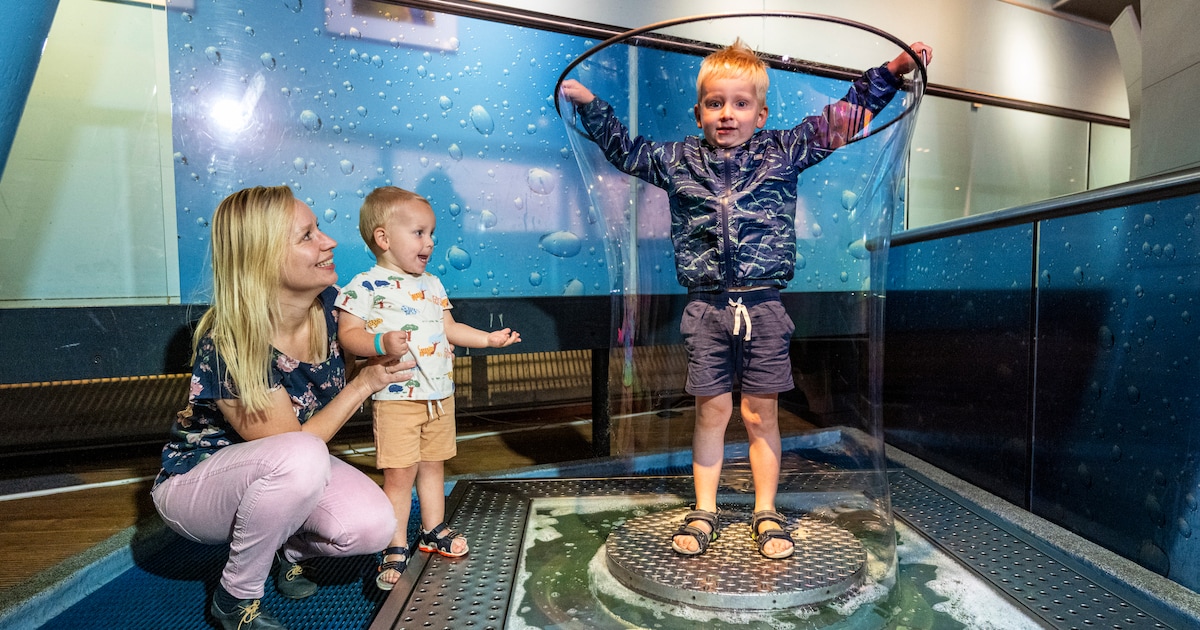 Watermuseum in nopjes met zomer vol water, ook andere musea blij met ...