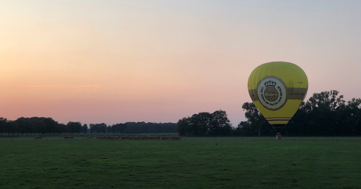 Hoe een ‘mooi plaatje’ in de krant het schopte tot ruzie tussen boer en ...
