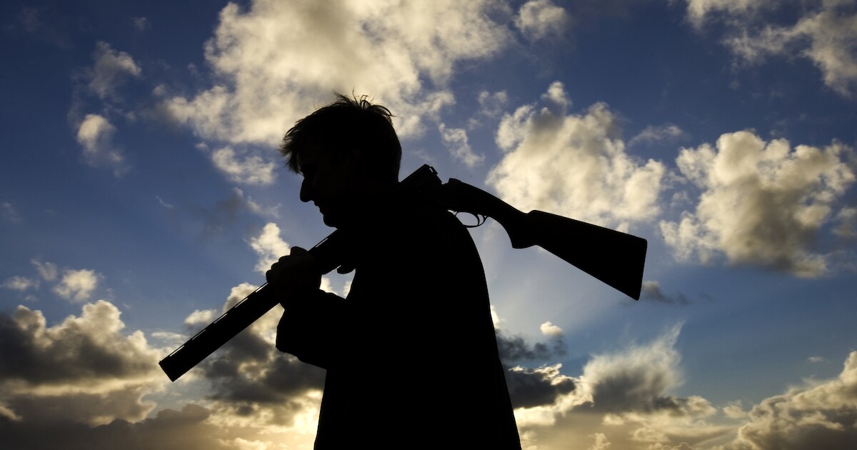 Er is een wolf doodgeschoten, maar waarom duurt het zolang tot we weten ...