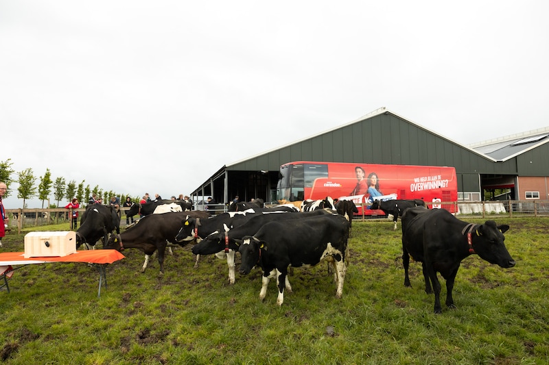 Rode bus van Qmusic rijdt erf op, boerin Corine weet meteen: dit wordt ...
