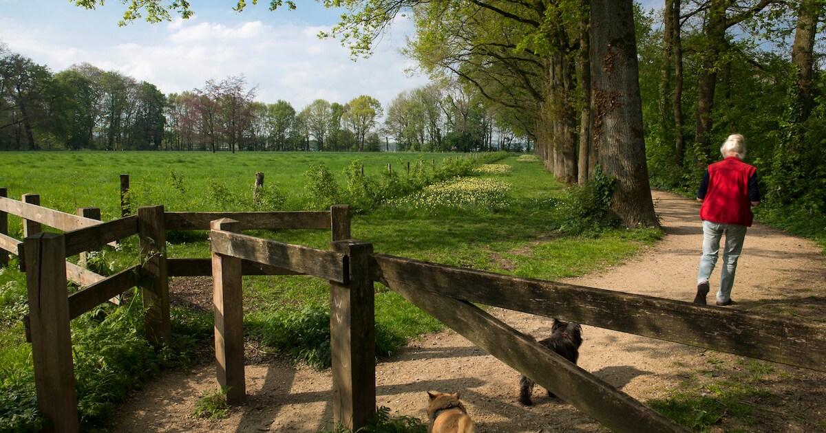 Rioolsoap na jaren klaar: Zettense en Randwijkse plas en poep via ...