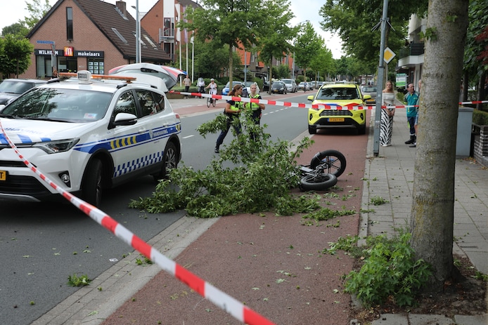 Fatbiker (20) raakt op fietspad zwaargewond als er ineens een boomtak ...