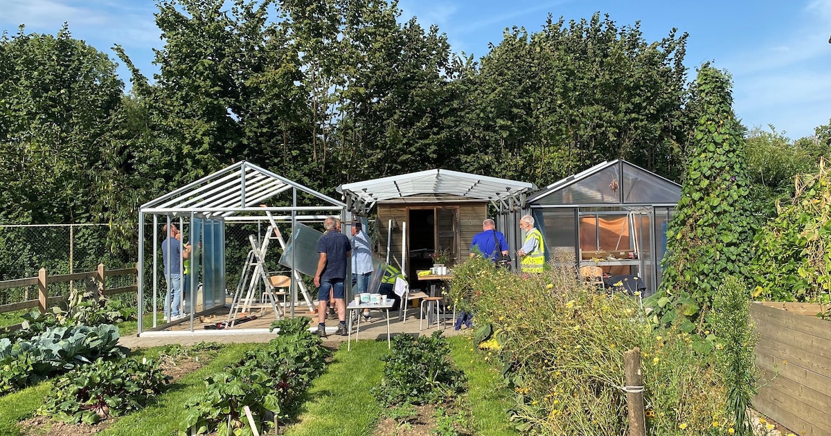 Nieuwe NME Moestuin geopend bij Kinderboerderij Rosorum | Zevenaar | De ...