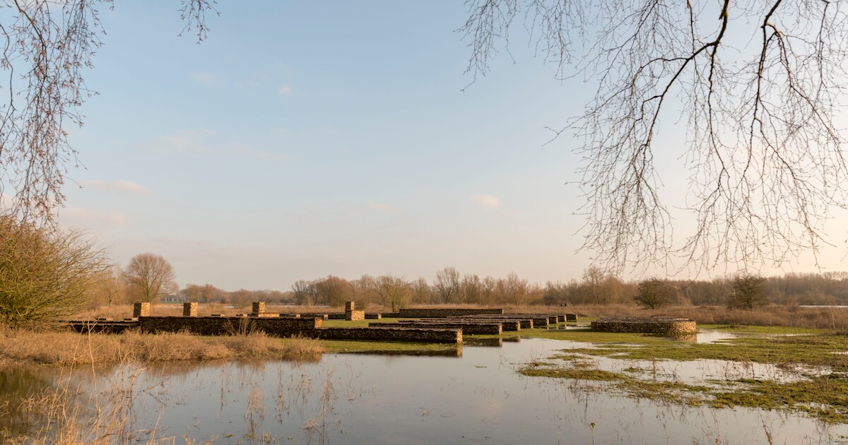 Natuurwandeling door de uiterwaarden langs de Nederrijn | Regio | De ...