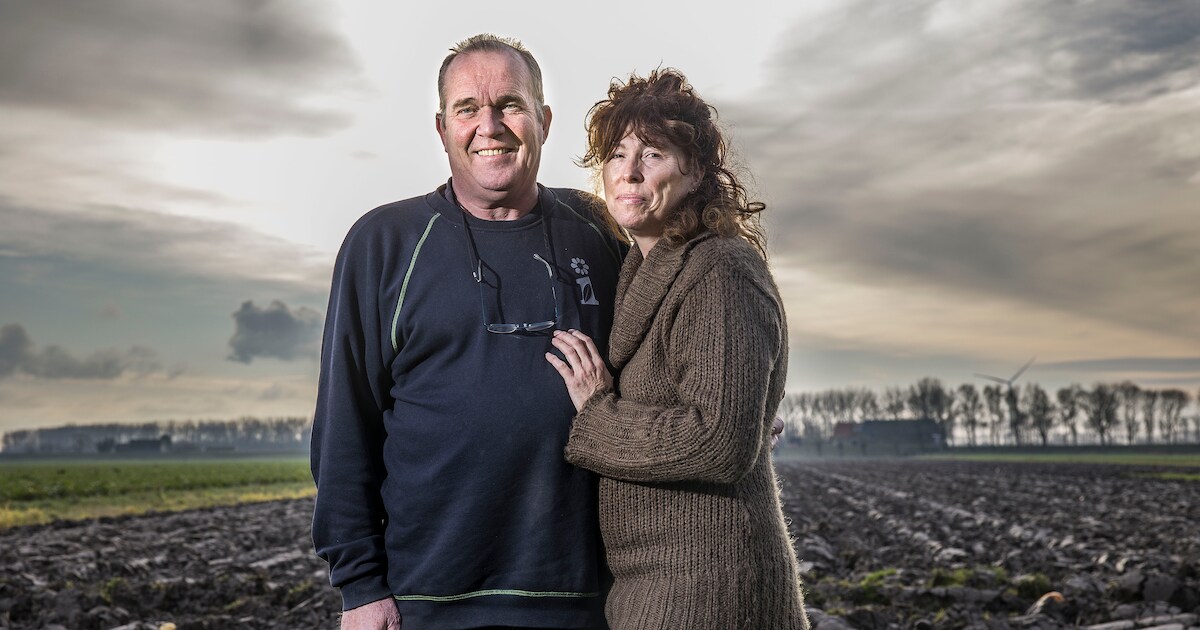 Martin en Linda verloren hun zoon Jesse bij een auto-ongeluk, zijn ...