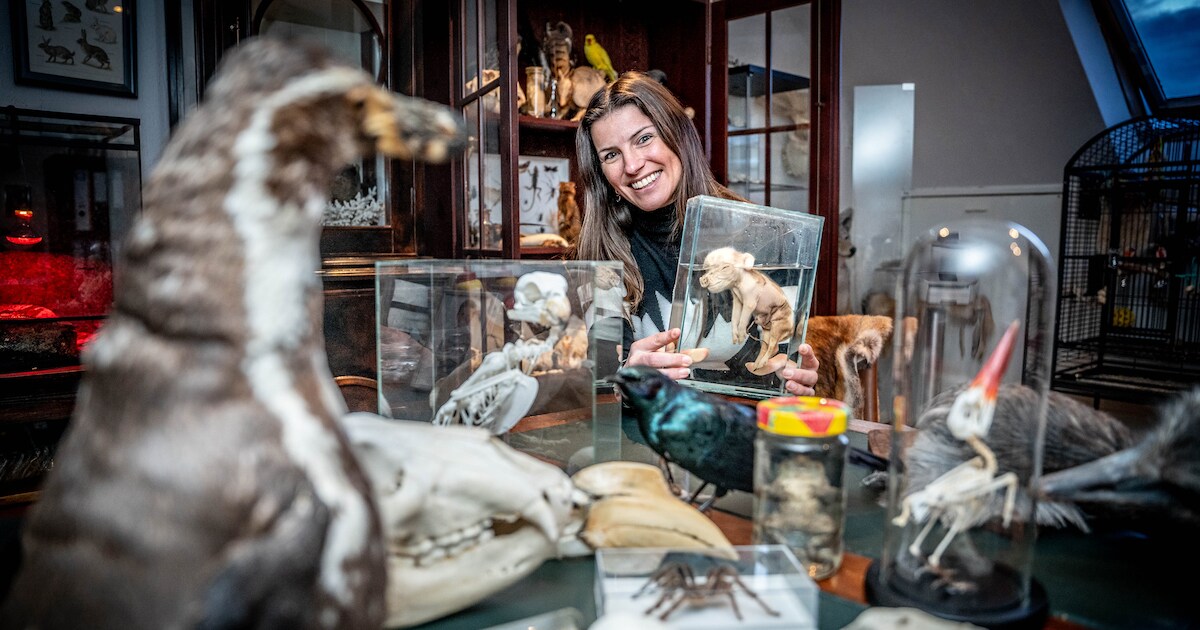 Carin (41) heeft een bijzondere band met dode dieren: ‘Als m’n moeder ...