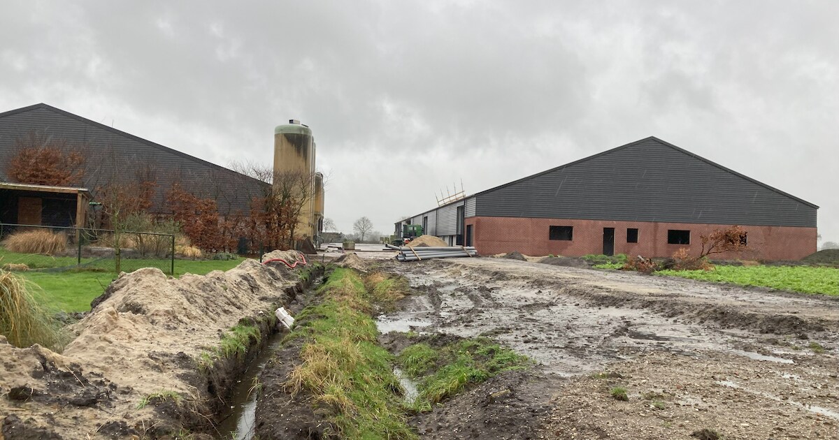 Geplaagde buurt De Elzen in Boekel is voorlopig nog niet van de stank ...