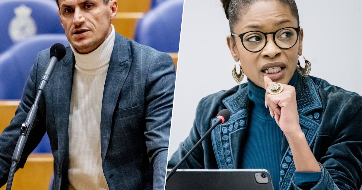 Bij1-lijsttrekker Sylvana Simons en Denk-voorman Farid Azarkan stappen ...