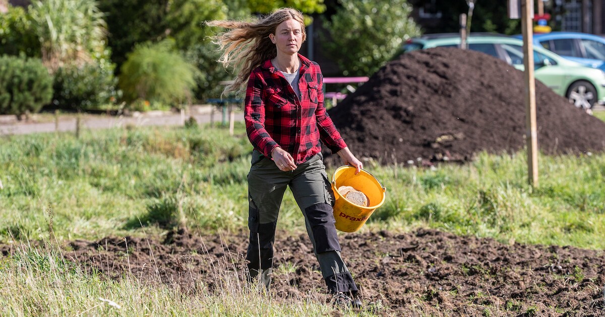 Het voorjaar komt. Wie goed kijkt hoort en ziet haar al | Ellen Willems ...