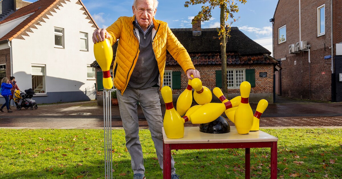 Kees zag de kegels bij de kringloop en kon ze niet laten liggen ...