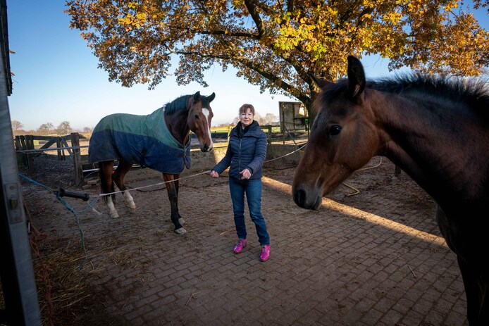 Diarree en rondrennen: paarden raken in paniek door geknal, maar ...