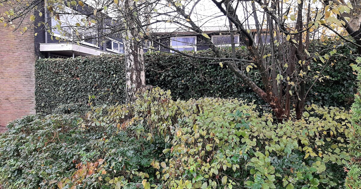 Veenendaal koopt opnieuw een gebouw om Oekraïners onder te brengen ...