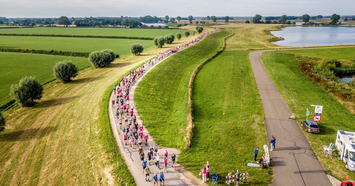 Peilbuizen geven inzicht in sterkte en veiligheid van de Maasdijken ...