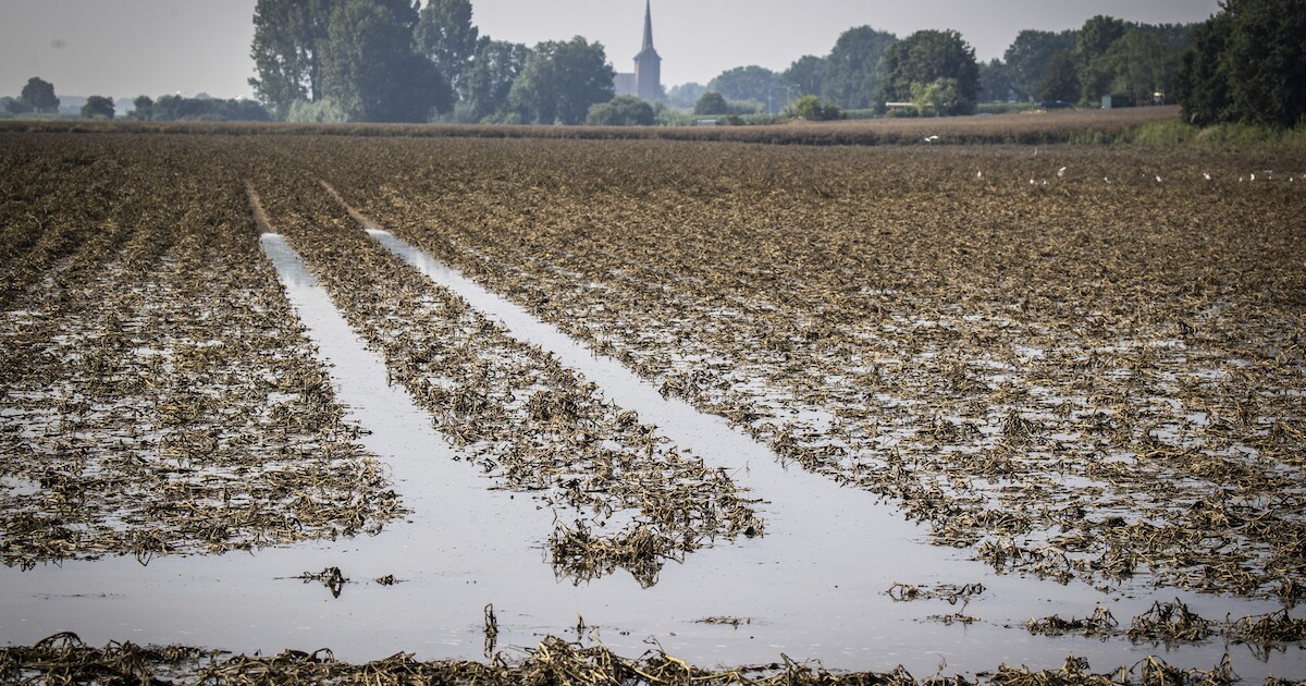 Driekwart boeren wapent zich tegen grilliger klimaat | Klimaat | De ...
