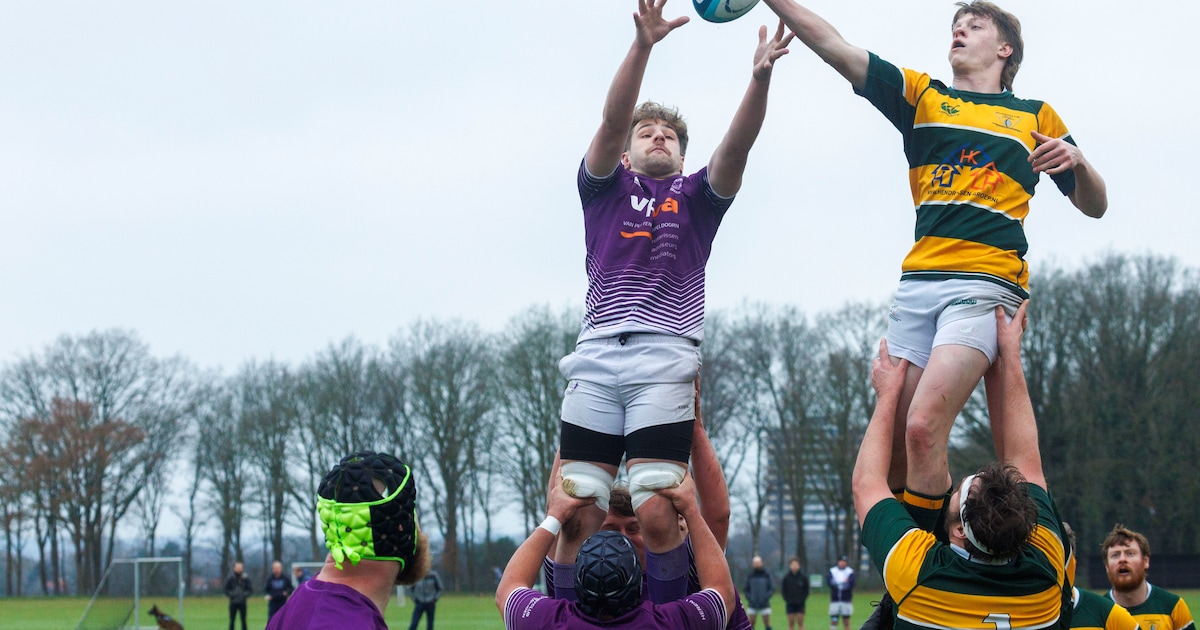 Clubhuis is te klein en er is een extra verlicht veld nodig: rugby in ...