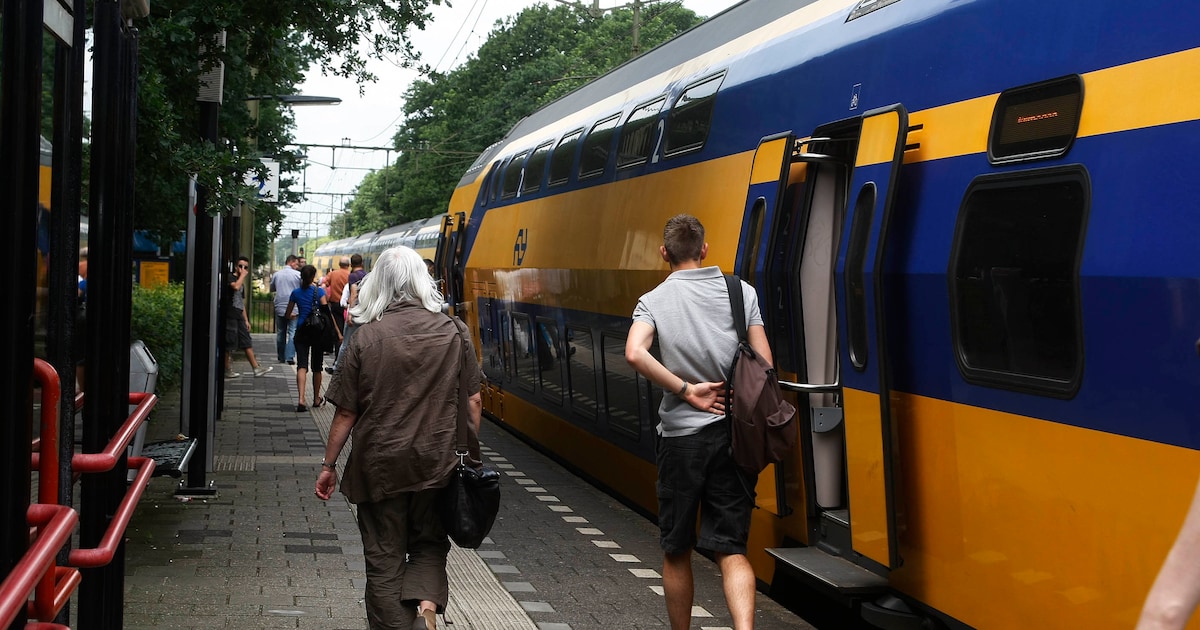 Treinen passeren stations in Vallei zonder te stoppen: ‘De machinist ...