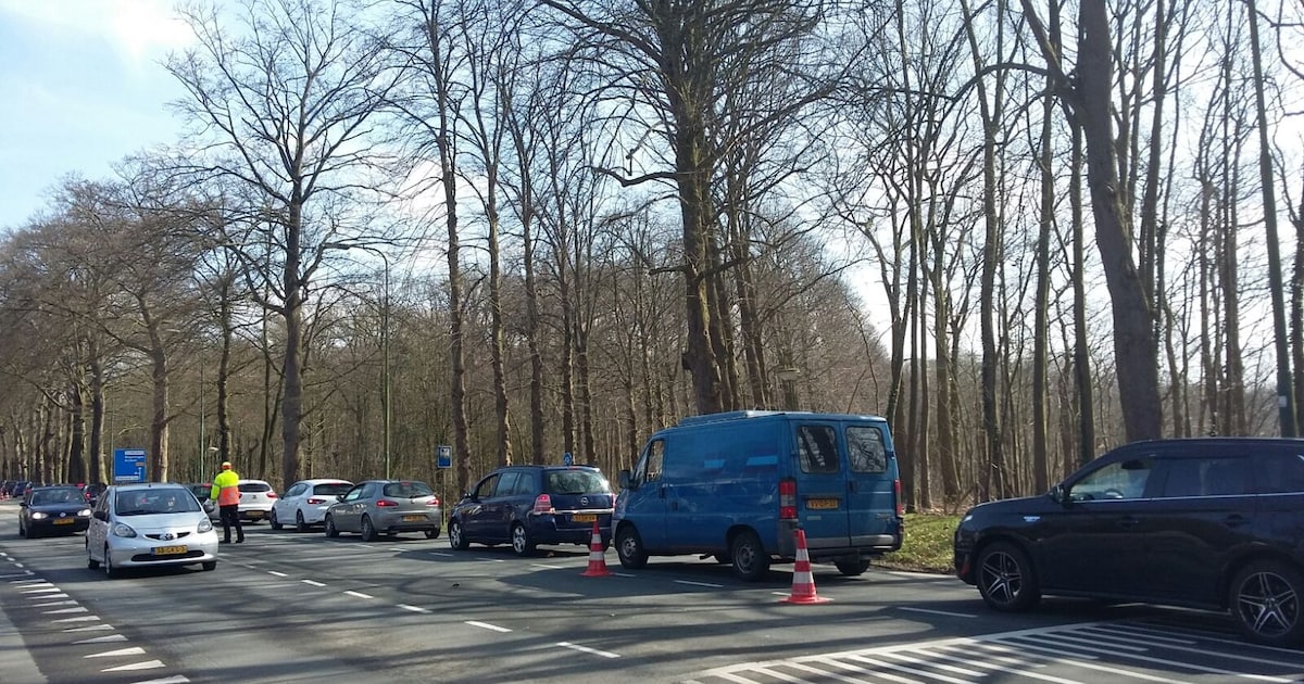 'Kom niet naar Ouwehands Dierenpark' | Rhenen | De Gelderlander.nl