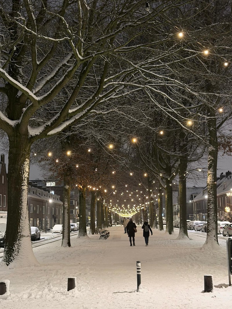 LIVE Sneeuw in Brabant | Woensdag code oranje in Brabant, verschillende ...