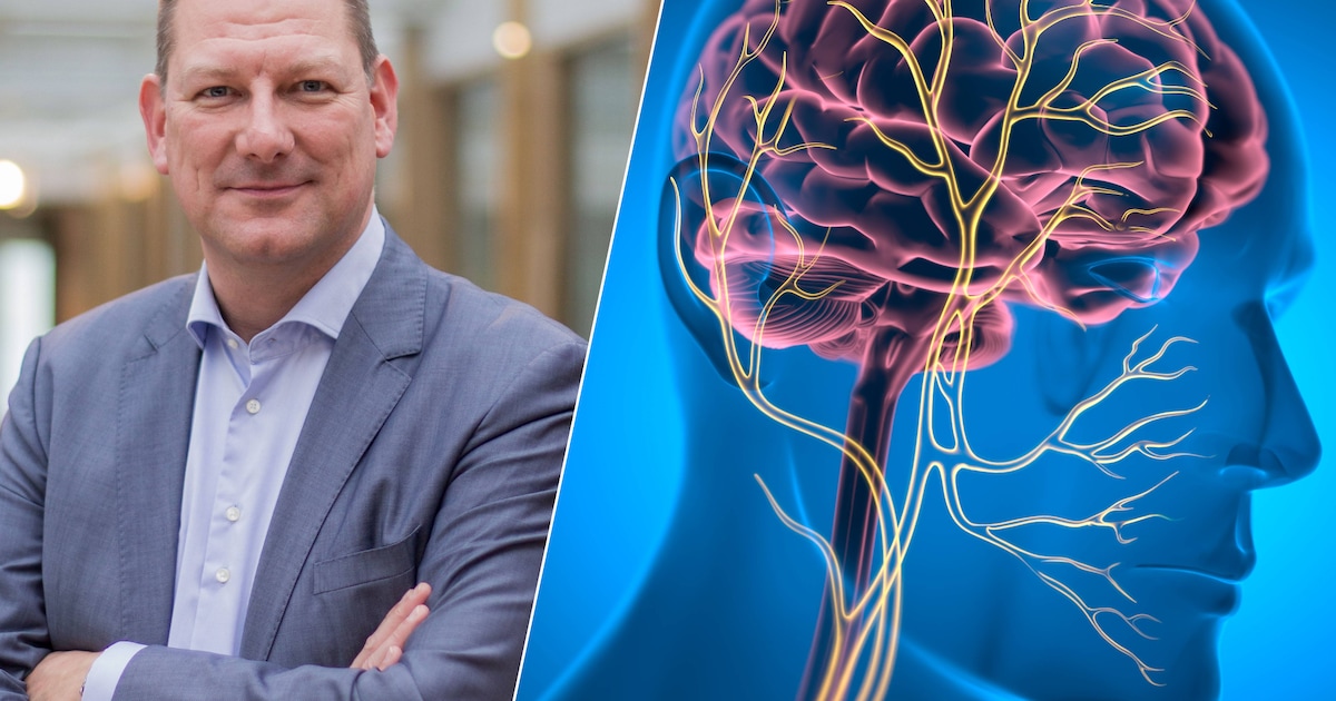 Onze hersenen werden sneller oud tijdens pandemie en dat kwam niet door een infectie | Gezond ...