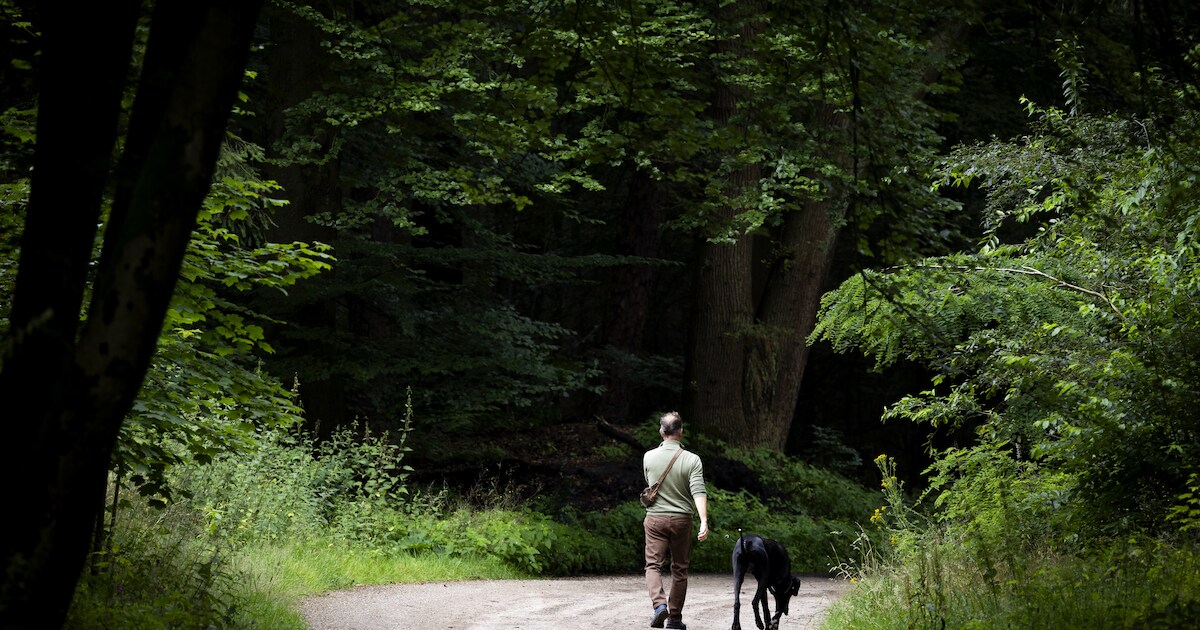 Geen plicht, wel een aanlijnadvies in bossen De Bilt door aanwezigheid ...
