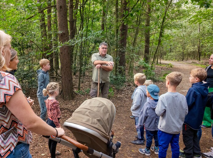 Bang voor de wolf? Nergens voor nodig, zegt natuurgids Jan: ‘Blijf ...