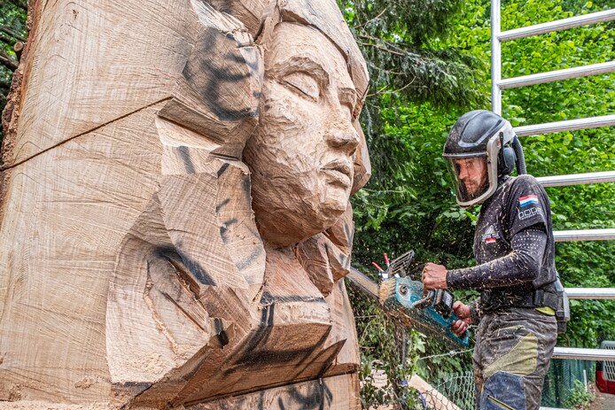 Van boom tot Romeins eerbetoon: houtkunstenaar zaagt een uniek gezicht ...