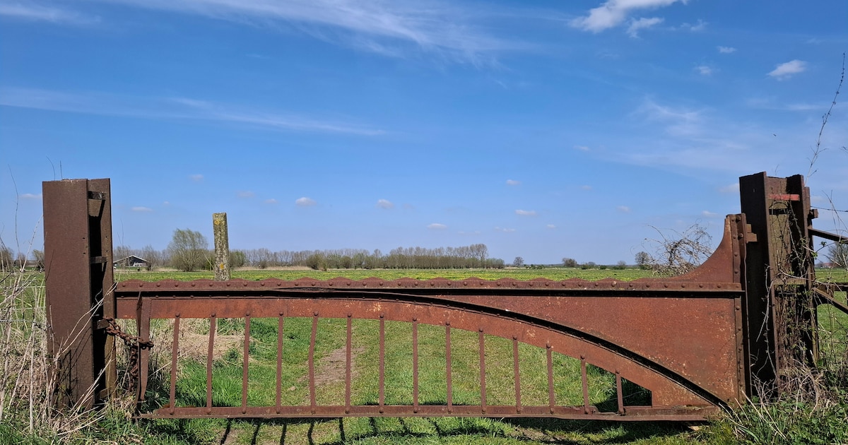 Waarom dit hek in een weiland bij Doesburg meer is dan alleen een stuk ...