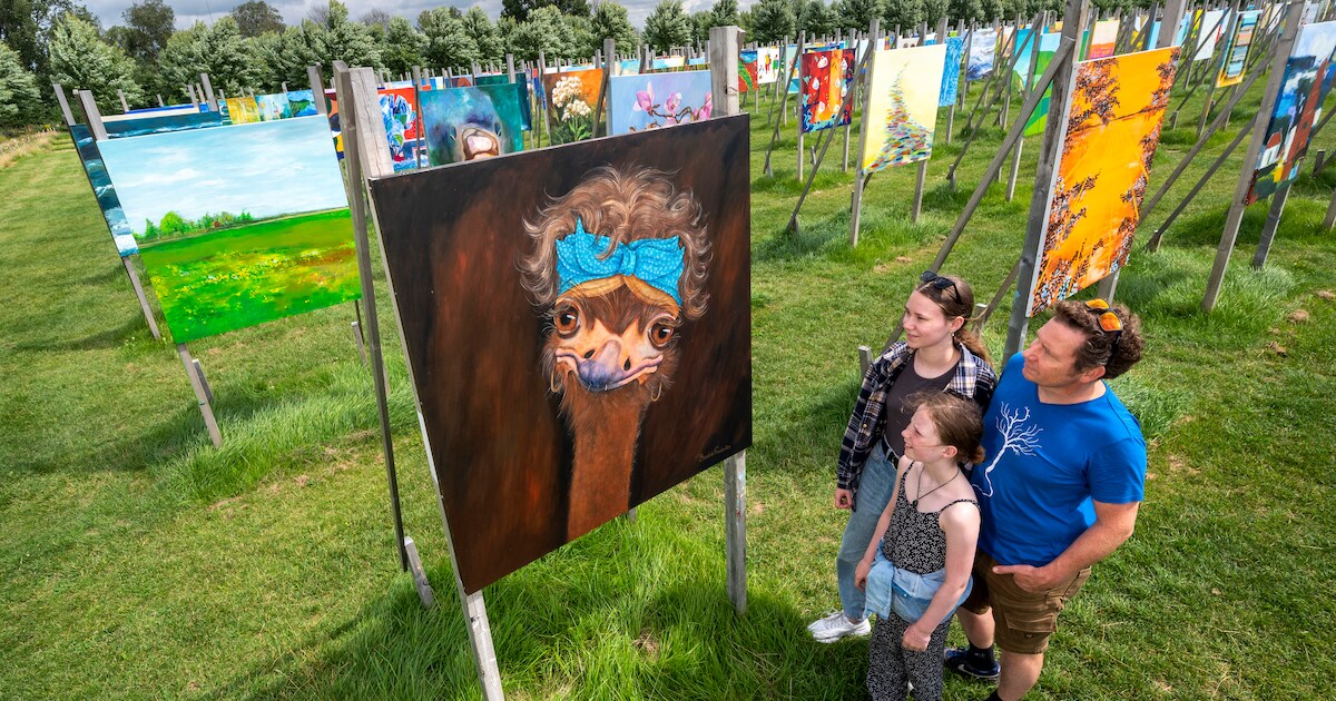 Kunstproject ‘The Colorfield Performance’ in Park Lingezegen uitgebreid ...