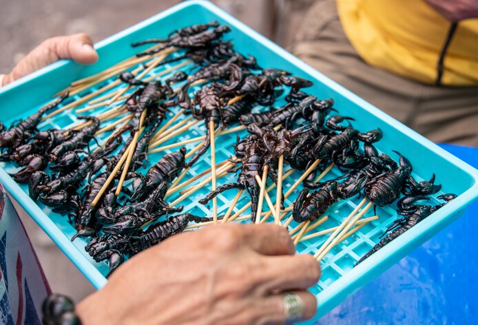 Insecten als voedsel: hoe leren we lief te zijn voor de meelworm ...