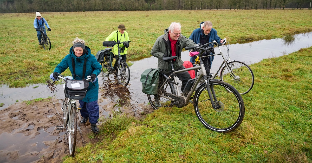 Gejubel in kletsnatte Maashorst: ‘Eindelijk is de spons weer eens goed ...