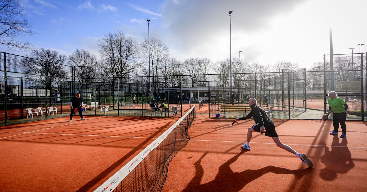 Hoe padel het succesverhaal werd voor tennisvereniging in nood | Enschede | De Gelderlander.nl
