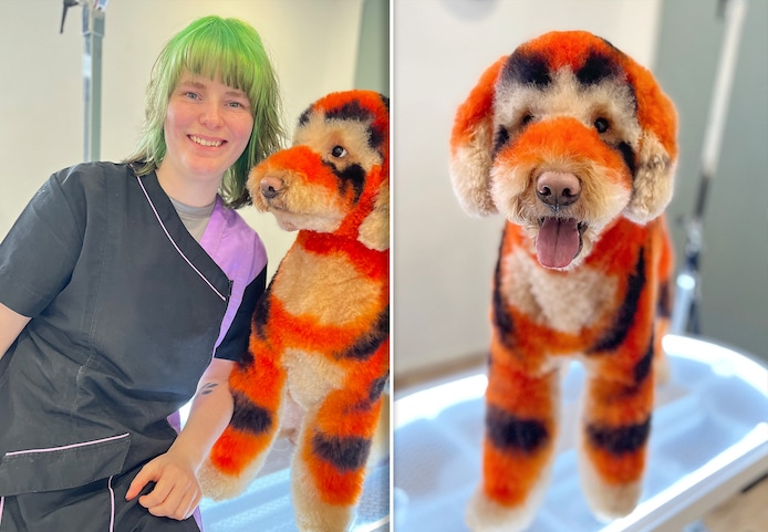 Trimster Marenne veranderde hond Bob in een bijzondere verschijning ...