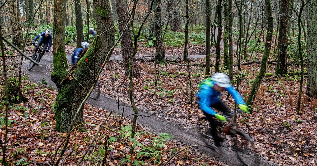 Is mountainbiken schadelijk voor de natuur? ‘Kijk naar de feiten, niet ...