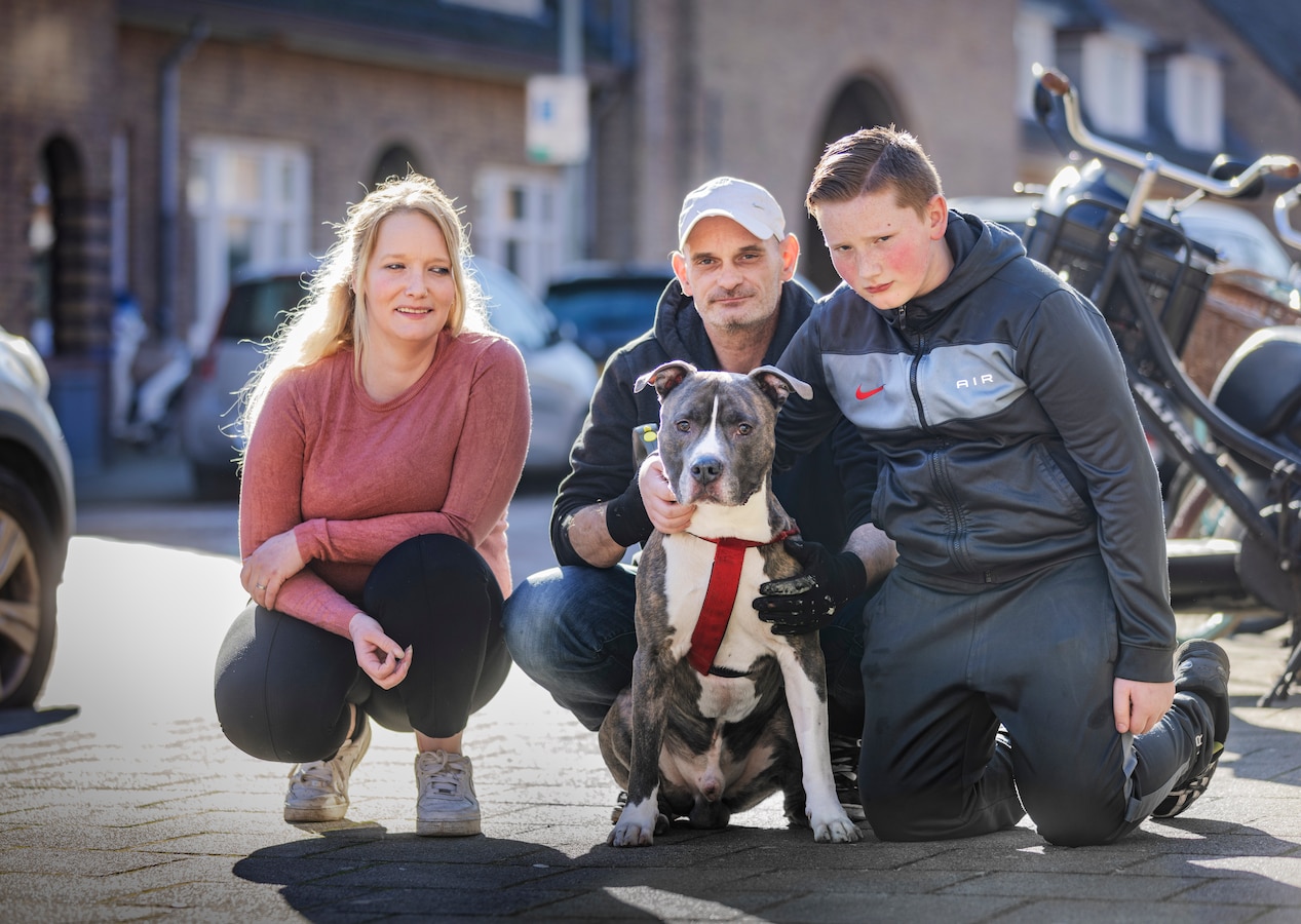 Hond Beavis (8) zat twee weken alleen thuis na arrestatie van baasjes ...