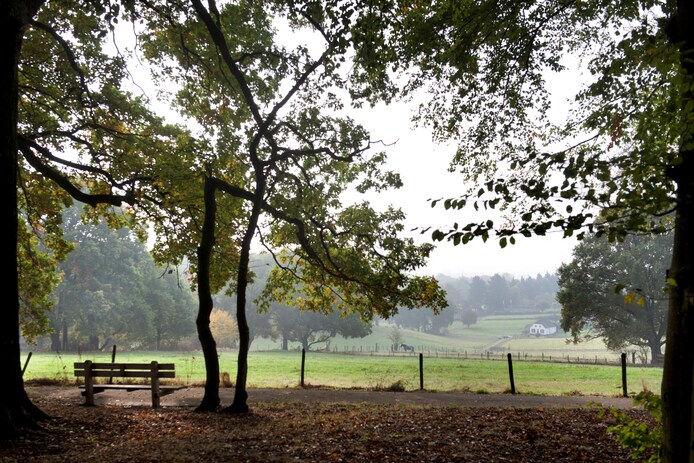 De tijd lijkt stil te hebben gestaan in Park Klarenbeek, maar het was onbeschermd. Daar komt nu ...