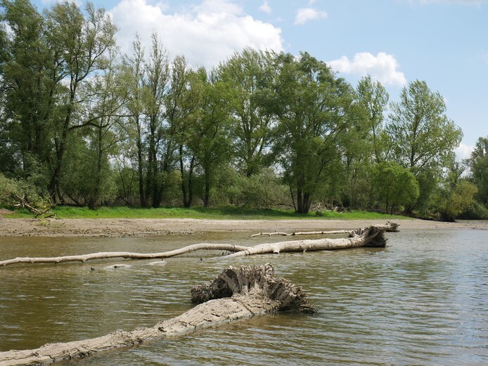 Op ontdekkingstocht langs de Waal | West Betuwe | gelderlander.nl